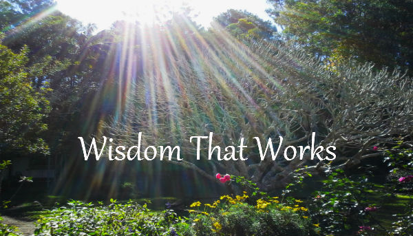 Wisdom That Works – Kris Hines – Living with Heart